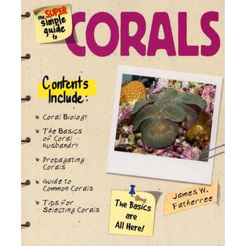 【】The Super Simple Guide to Corals