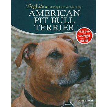 【】American Pit Bull Terrier [With