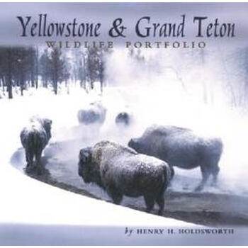 【】Yellowstone & Grand Teton