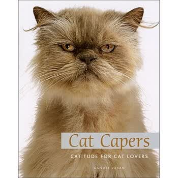 【】Cat Capers: Catitude for Cat