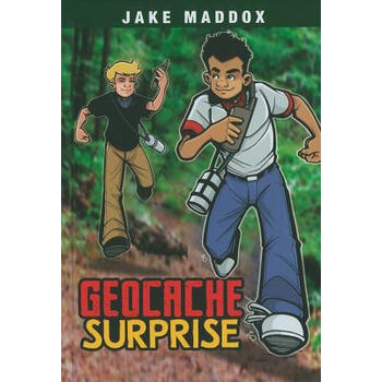 【】Geocache Surprise