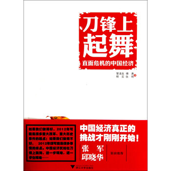 刀锋上起舞(直面危机的中国经济)