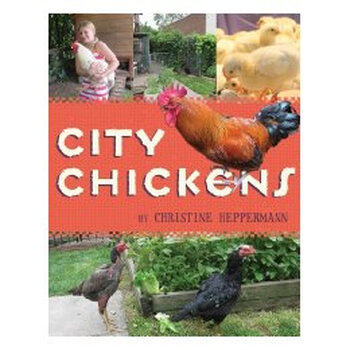 【】City Chickens