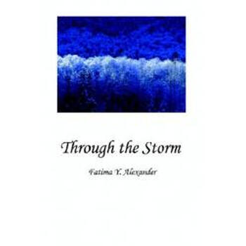 【】Through the Storm