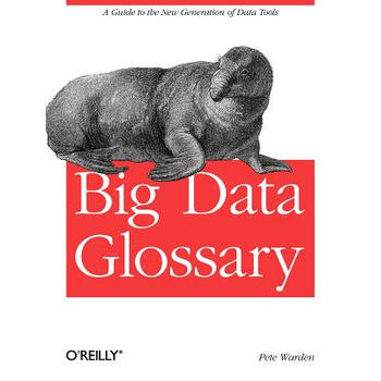 【】Big Data Glossary