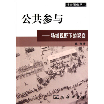 公共参与--场域视野下的观察/社会图像丛书