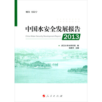 2013中国水安全发展报告