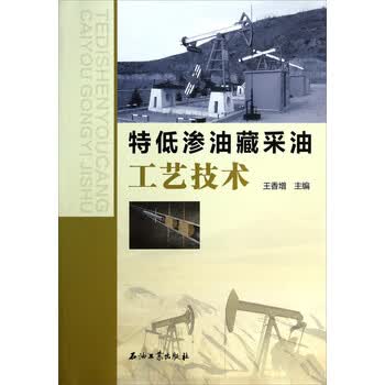 特低渗油藏采油工艺技术9787502198527