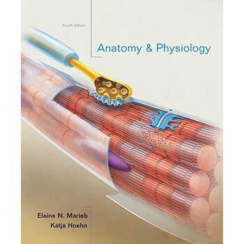 【】Anatomy & Physiology