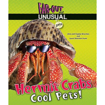 【】Hermit Crabs: Cool Pets!