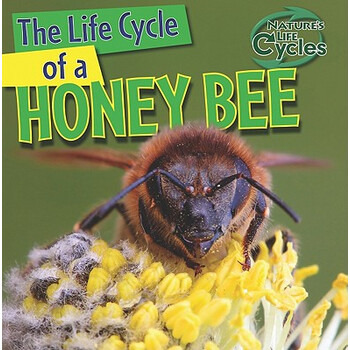 【】The Life Cycle of a Honeybee