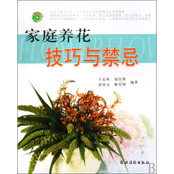 家庭养花技巧与禁忌