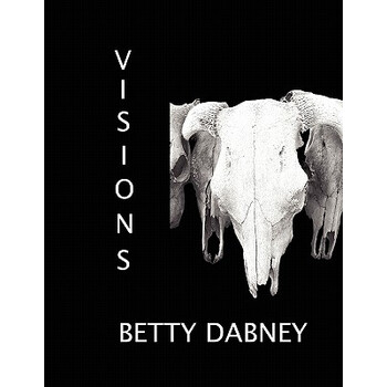 【】Visions