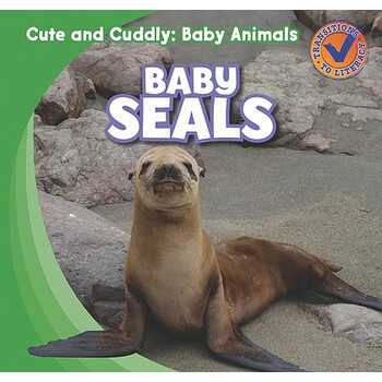 【】Baby Seals