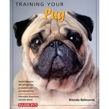 【】Training Your Pug