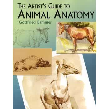 【】The Artist's Guide to Animal