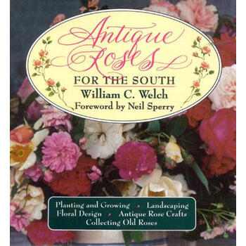 【】Antique Roses for the South