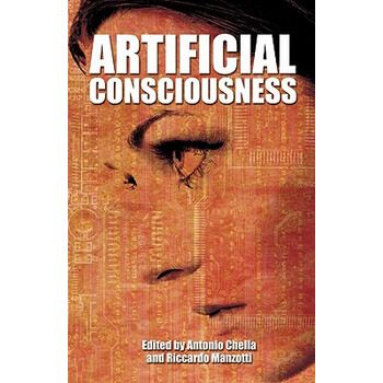 【】Artificial Consciousness