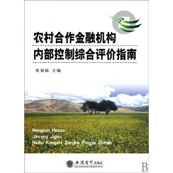 农村合作金融机构内部控制综合评价指南