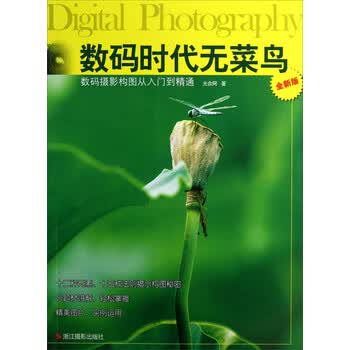 数码时代无菜鸟：数码摄影构图从入门到精通（全新版）