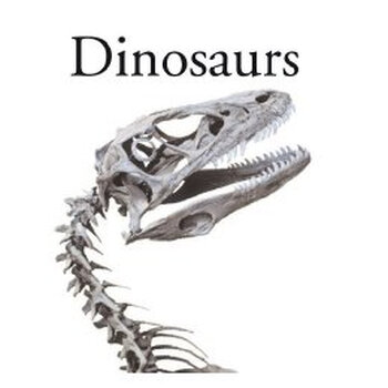 Encyclopedia of Birds