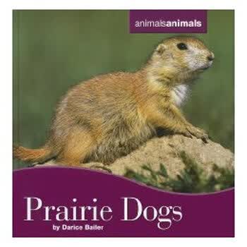 【】Prairie Dogs