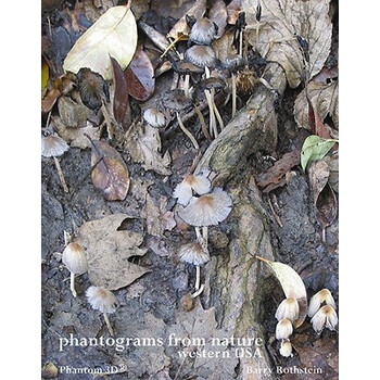 【】Phantograms from Nature, Western