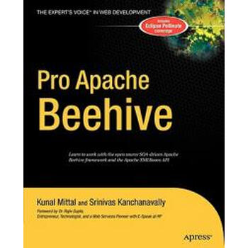 【】Pro Apache Beehive