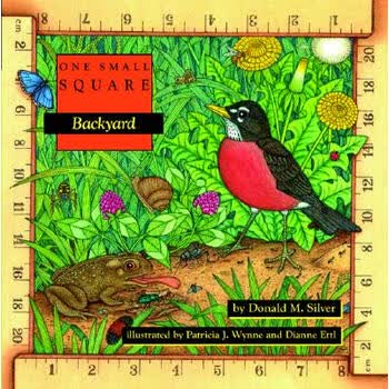 【】Backyard
