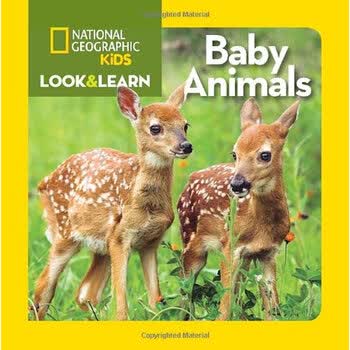 National Geographic Kids Look and Learn: Baby Animals