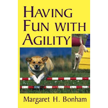 【】Having Fun With Agility