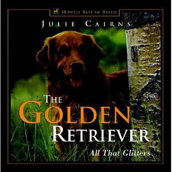 The Golden Retriever: All That Glitters