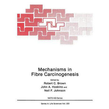 Mechanisms in Fibre Carcinogenesis