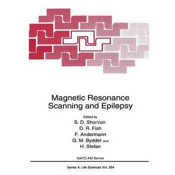 Magnetic Resonance Scanning and Epilepsy