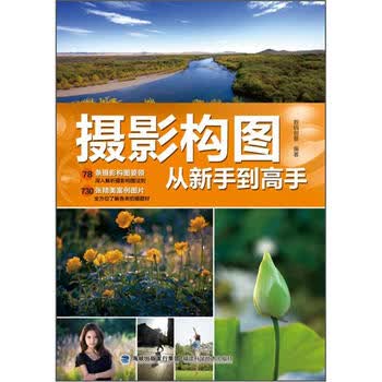 摄影构图从新手到高手(“78条摄影构图要领，深入了解摄影构图法)/9787533540012/福建科