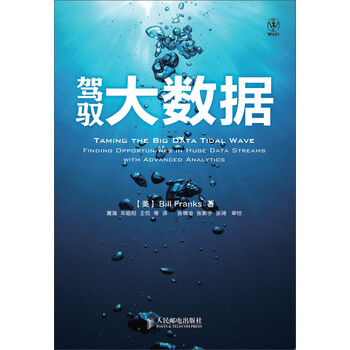 驾驭大数据(异步图书出品)