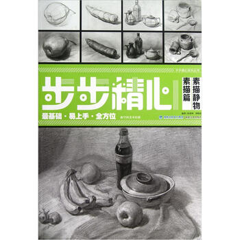 步步精心系列丛书：素描静物（素描篇）