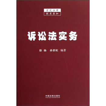 诉讼法实务