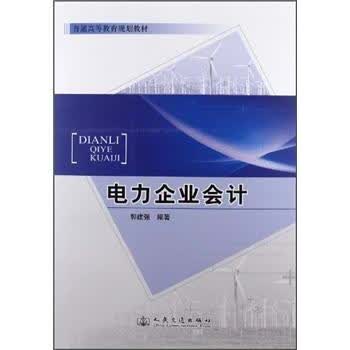 电力企业会计