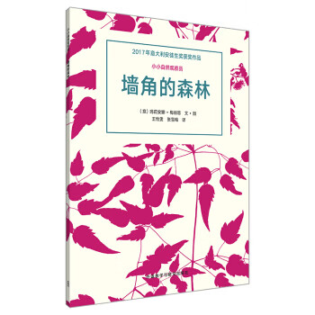 墙角的森林