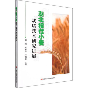 湖北稻茬小麦栽培技术研究进展 图书