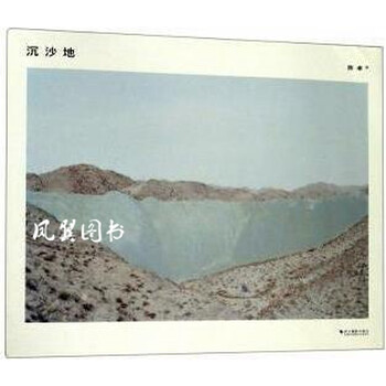 沉沙地 陈卓著 浙江摄影出版社