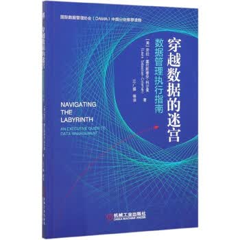穿越数据的迷宫(数据管理执行指南)