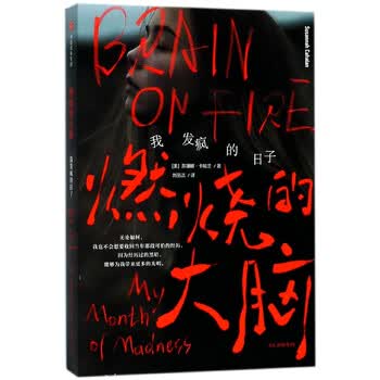 燃烧的大脑
