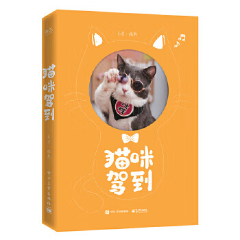 猫咪驾到 克查