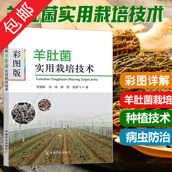 【包邮】羊肚菌实用栽培技术彩图版  食用菌栽培技术书籍菌种食用菌栽培学