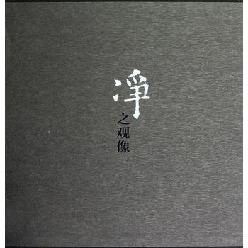 净之观像 祁和亮 著