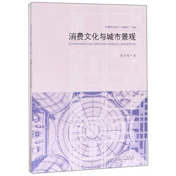 消费文化与城市景观/景观研究丛书