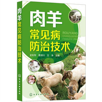 肉羊常见病技术农业/林业羊病普通大众图书