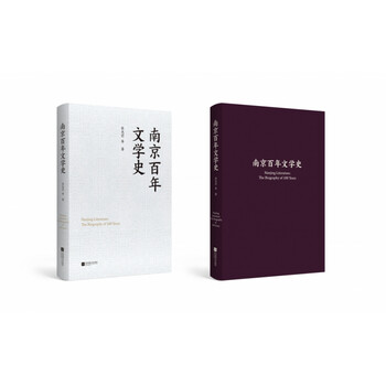 南京百年文学史 张光芒 等